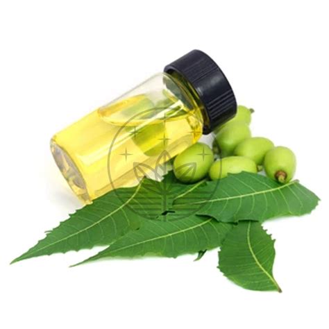 NEEM OIL – வேப்ப எண்ணெய் – Naturen Vibes