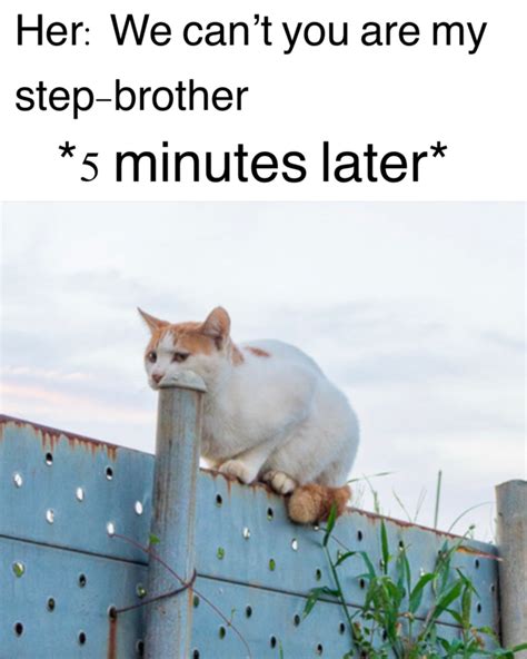 I Tried But It Didnt Work Rdankmemes Stepbro Stepbrother Know Your Meme