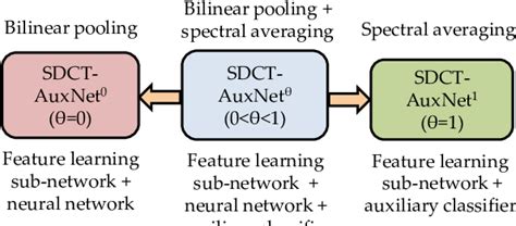 Sdct Auxnet As A Generic Case Utilizing Two Different Classifiers In