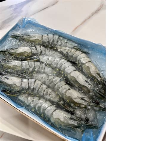 粗放草蝦8P 海海人生海鮮批發 海鮮批發 台中海鮮批發 西屯海鮮批發