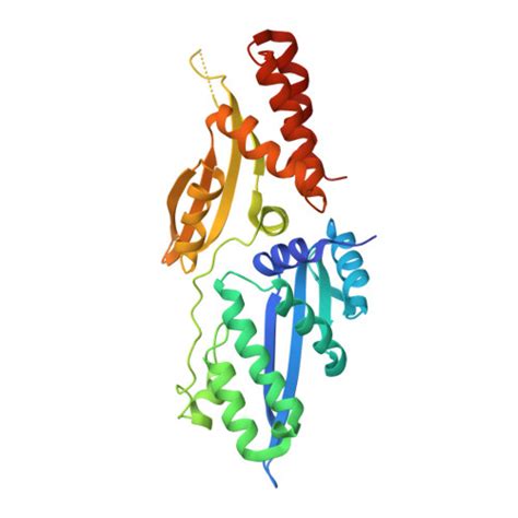 Rcsb Pdb 5t2o Engineered Variant Of I Onui Meganuclease Targeting