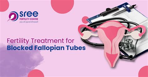 Blocked Fallopian Tubes Symptoms Causes And Treatment By