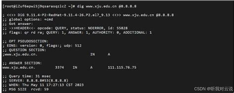 计算机网络实验 dns协议分析与测量 dns测试 csdn博客