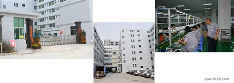 Value Of Trading Company And Factory Peachbuds Sex Toy Manufacturer