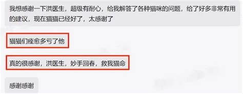 伴宠医宠物医生在线问诊守护你和ta们的理想世界 服务 维宠宠物导航网