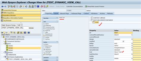 Dynamic View Call Sapcodes