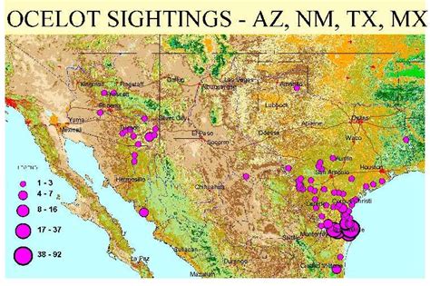 Bwg Ocelot Sightings Map