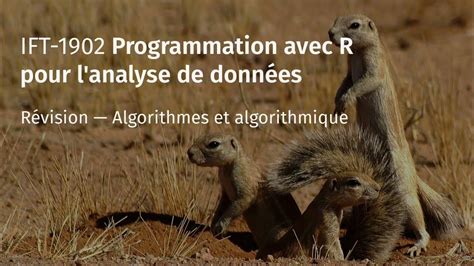 Révision — Algorithmes Et Algorithmique Youtube