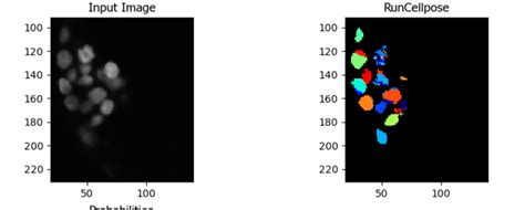 nuclei counting for 3d images image analysis image sc forum