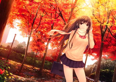 Coffee Kizoku C81 Aurora Blend School Girl Walk Through Maples