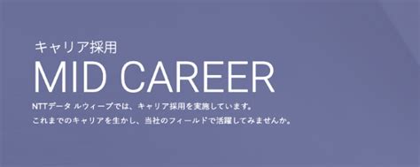 採用情報 Nttデータ ルウィーブ株式会社