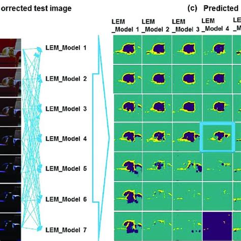 Image Segmentation Accuracy Of Models Using Dark Test Image That Has