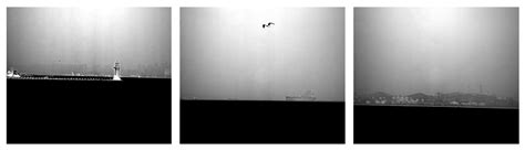 A Polarization Based Method For Maritime Image Dehazing