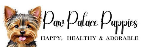 What Is Ofa Certification And Why Should You Care