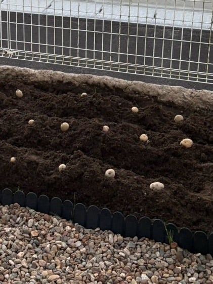 Every Small Step Countsのブログ