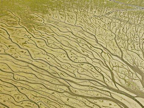 Aerial Photo Tidal Patterns