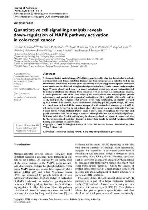 Pdf Quantitative Cell Signalling Analysis Reveals Down‐regulation Of