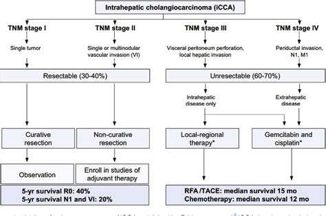 Figure 2 From Ablative Therapy For Unresectable Intrahepatic