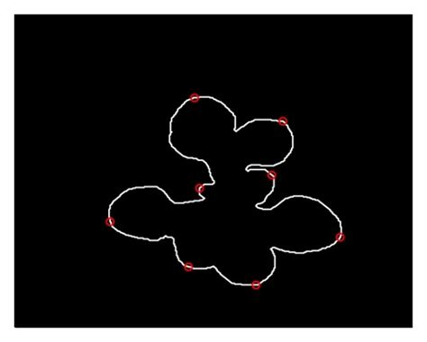Growth Simulation Ae Contour Reconstruction During 5 Days The Download Scientific