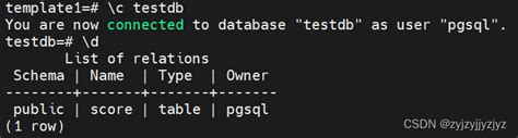 Pg——psql命令行交互式客户端工具pg命令启动客户端 Csdn博客