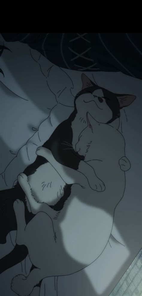 Pin Di Ace 🫧 Su Umibe No étranger