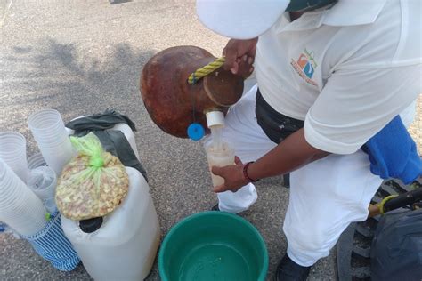 Los Golpes De Calor ¿cómo Prevenirlos