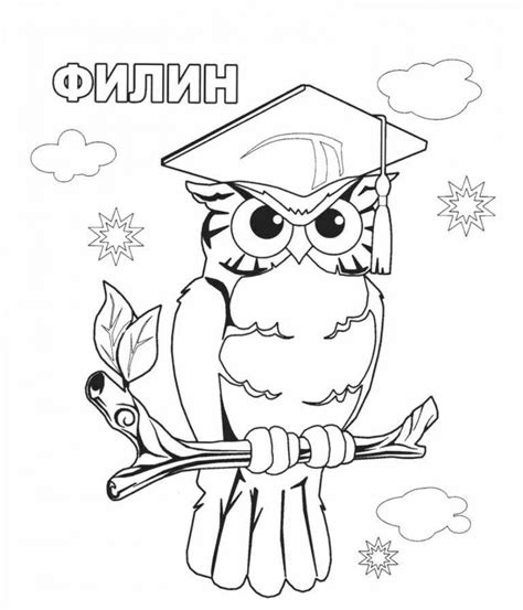 Раскраски Мудрая сова (28 шт.) - скачать или распечатать бесплатно #6432