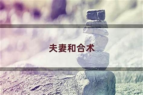 八字命理揭秘：和合婚姻生贵儿的奥秘八字若朴堂文化