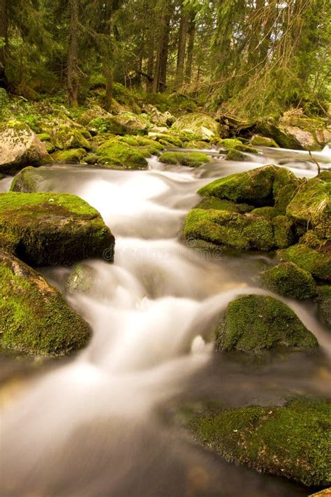 Lovely And Magical Water Stream Stock Photo Image Of Floral