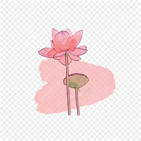 Pink Watercolor Handpainted Lotus Elements Element Hand Painted