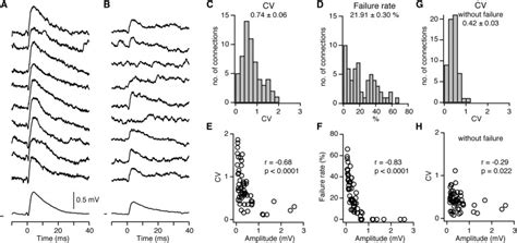 Reliability Of Excitatory Monosynaptic Connections In Vivo Download