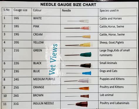 Types Of Needles For Injection Needle Gauges For Injections 53 Off