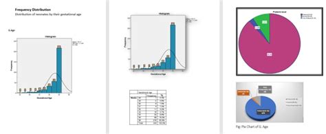 Do Statistical Data Analysis Using Spss And Excel By Ahnabhossain Fiverr