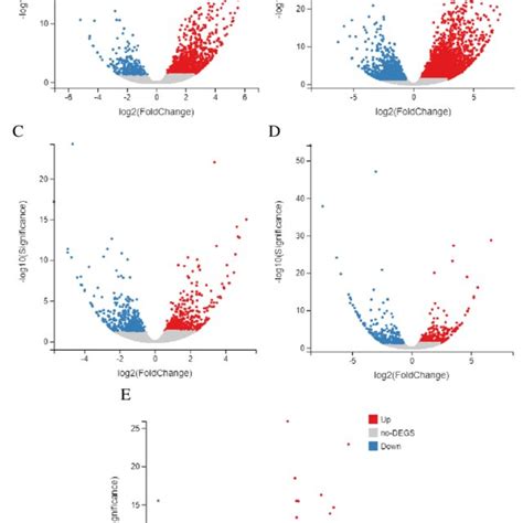The Volcano Plots Of Differentially Expressed Genes Degs Between The