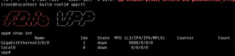 Centos下的vpp的编译和运行vpp没开启interactive Csdn博客