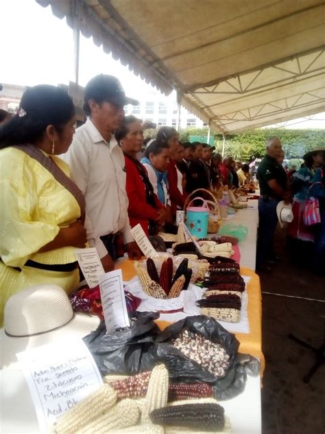 Octava Feria del Maíz Productores de varios estados intercambian