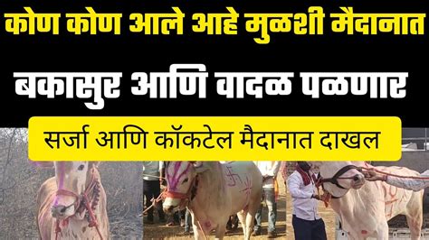 कोण कोण आले आहे पुणे जिल्हा केसरी मुळशी मैदानात Youtube