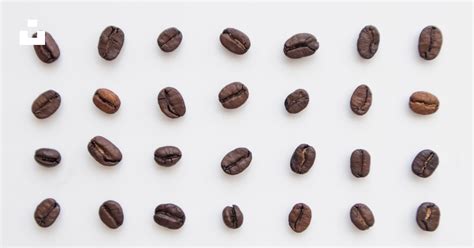 흰색 바탕에 커피 콩 그룹 사진 Unsplash의 무료 회색 이미지