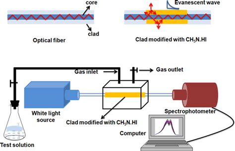 Schematic Representation Of Clad‐modified Fibre Optic Gas Sensor Set Up