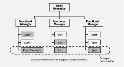 Types Of Organizational Structures Must Read Concept For Pmp