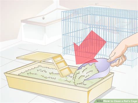 How To Clean A Rats Cage With Pictures Wikihow