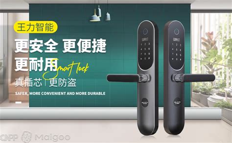 王力门锁热门产品榜 王力门锁哪款好Maigoo品牌网