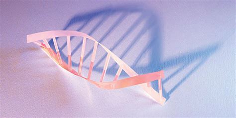 国家卫健委发声：高度重视免疫艾滋病基因编辑婴儿 依法依规处理 凤凰网财经 凤凰网