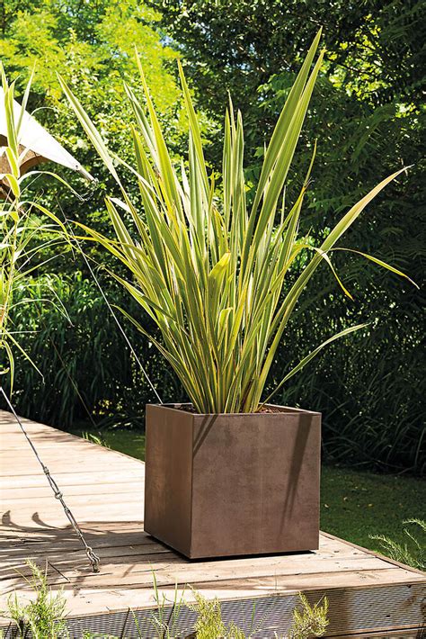 cubo millennium brownstone à réserve d eau 39 cm Bricorama