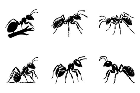 Premium Vector Ant Illustration Simple Vector Art Style