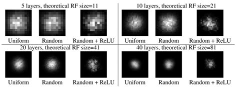 convolutional neural networks terra incognita