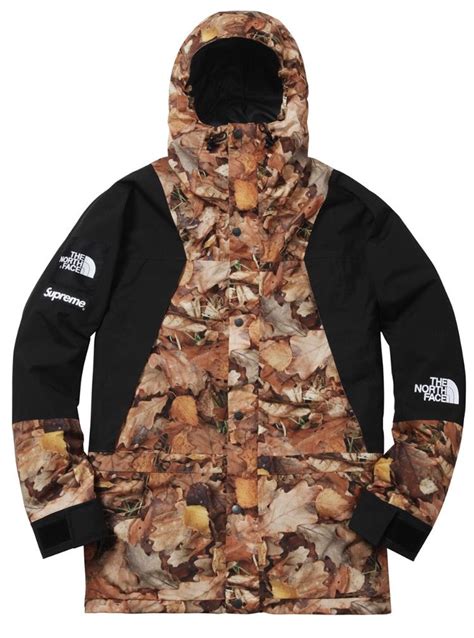 Куртка Supreme The North — Krutayakurtka.ru