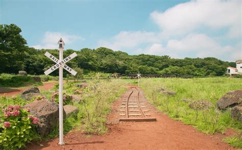 Bayesian Linear Regression In Python Via Pymc3 Towards Data Science