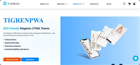 Selecting The Best Magento Web Hosting Theme For Your Store