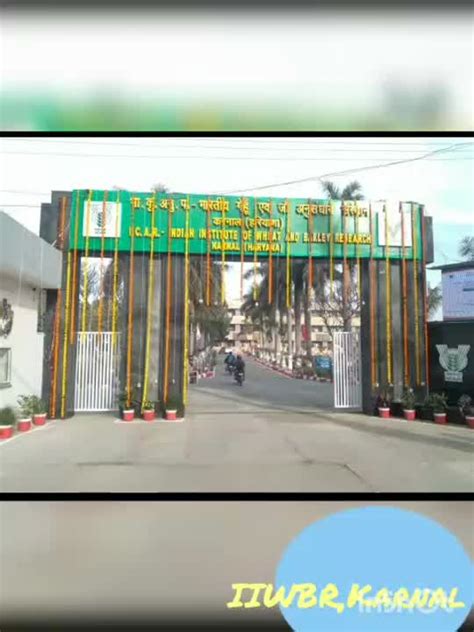 Shubham Raj On Linkedin Foundation Day Celebration 2023 🌾